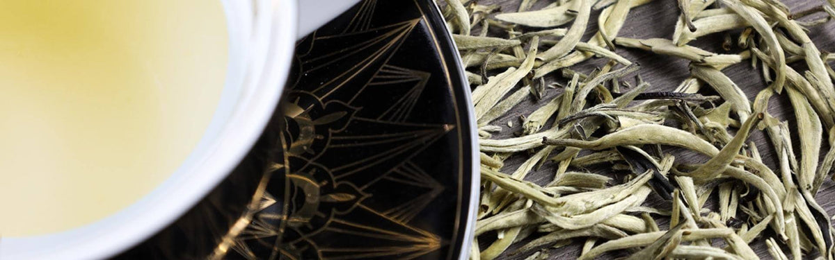 Loose Leaf White Tea | Loose Leaf Silver Needles Tea | Online Tea Shop